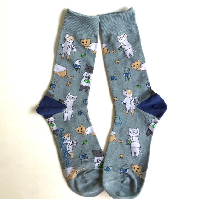 Cat Socks | My Site